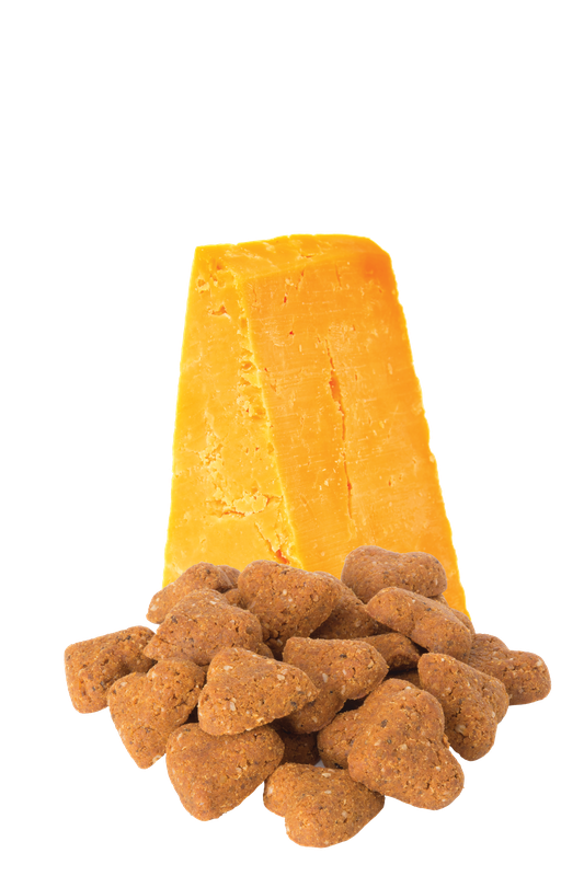 Grain Free Cheddar Cheese Mini Dog Treats – DARFORD Store