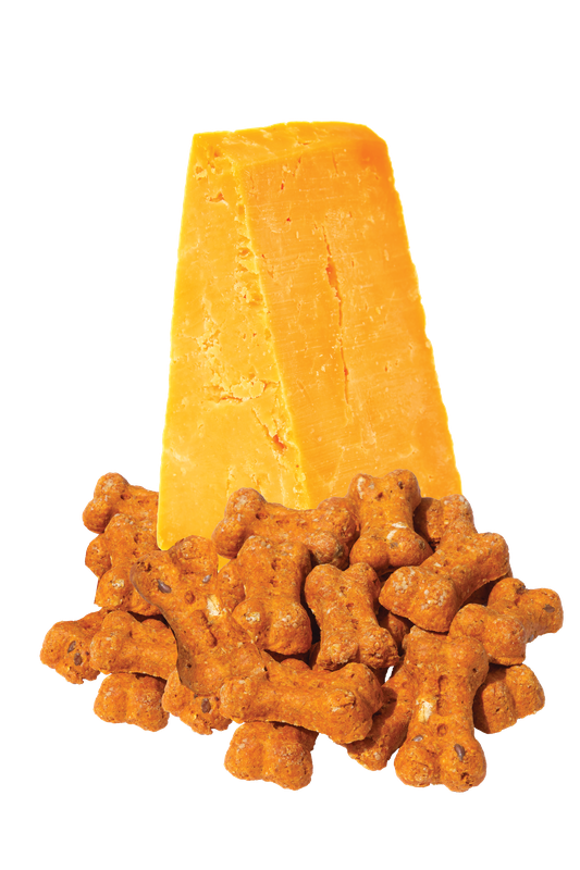Natural Cheddar Cheese Dog Treats – DARFORD Store