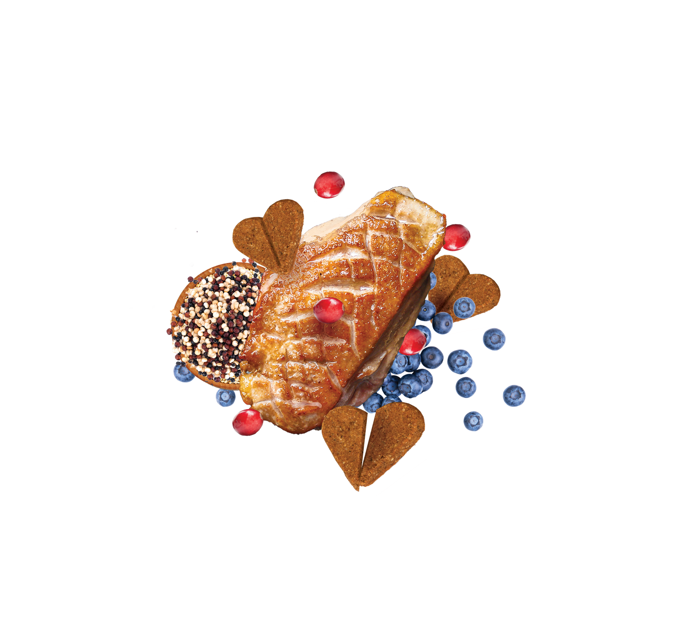 Zero/G Roasted Duck Dog Treats – DARFORD Store